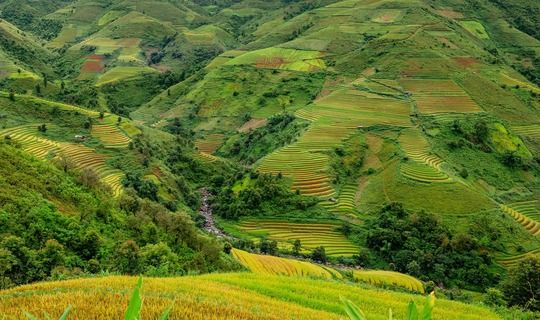 天命印證— 一位慈母見證天恩與聖道之殊聖(二) - 好文分享 - 社團法人台灣心儒道德慈愛協會